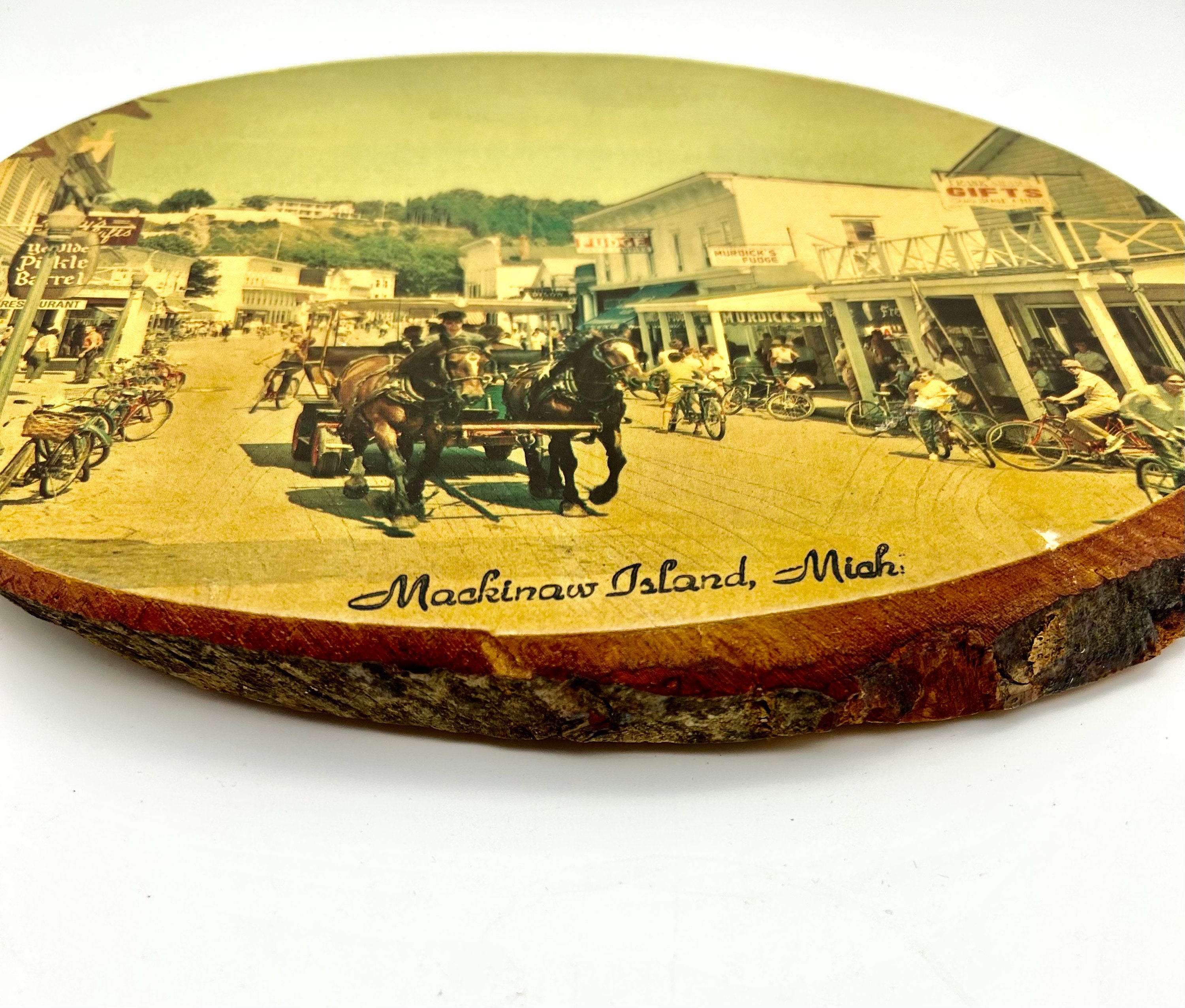 Vintage Mackinac Island Michigan Summer Scene Hanging Wood Wall Plaque ...