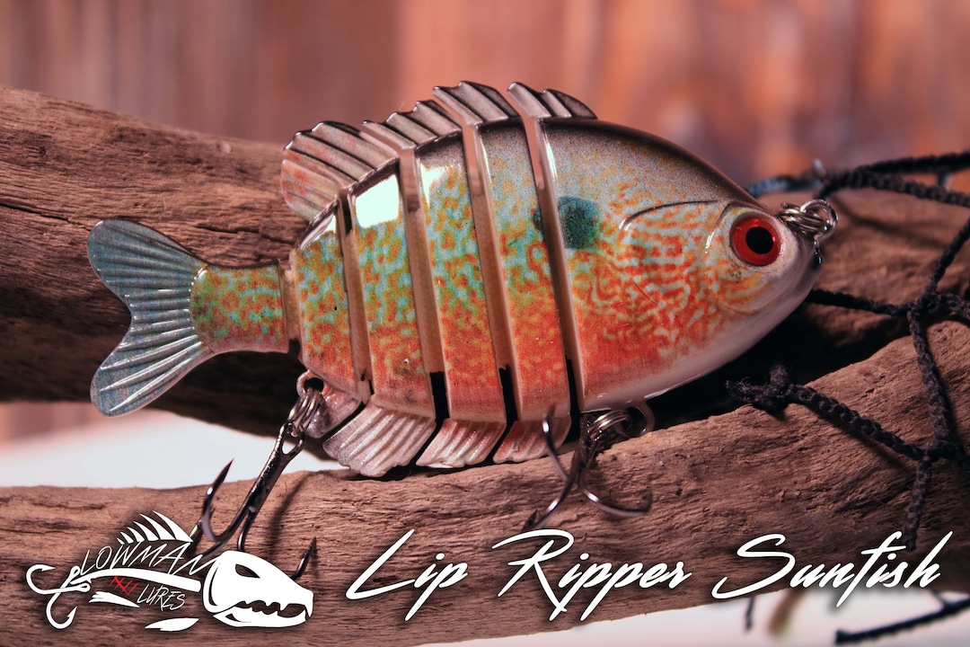 Sunfish Swim Bait Fishing Lure (official Lowman Lure Lip Ripper ...