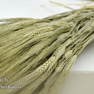 Handtied Corn/barley Bunch - Etsy UK