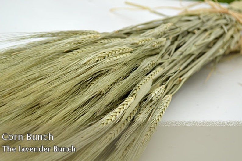 Handtied Corn/barley Bunch - Etsy UK