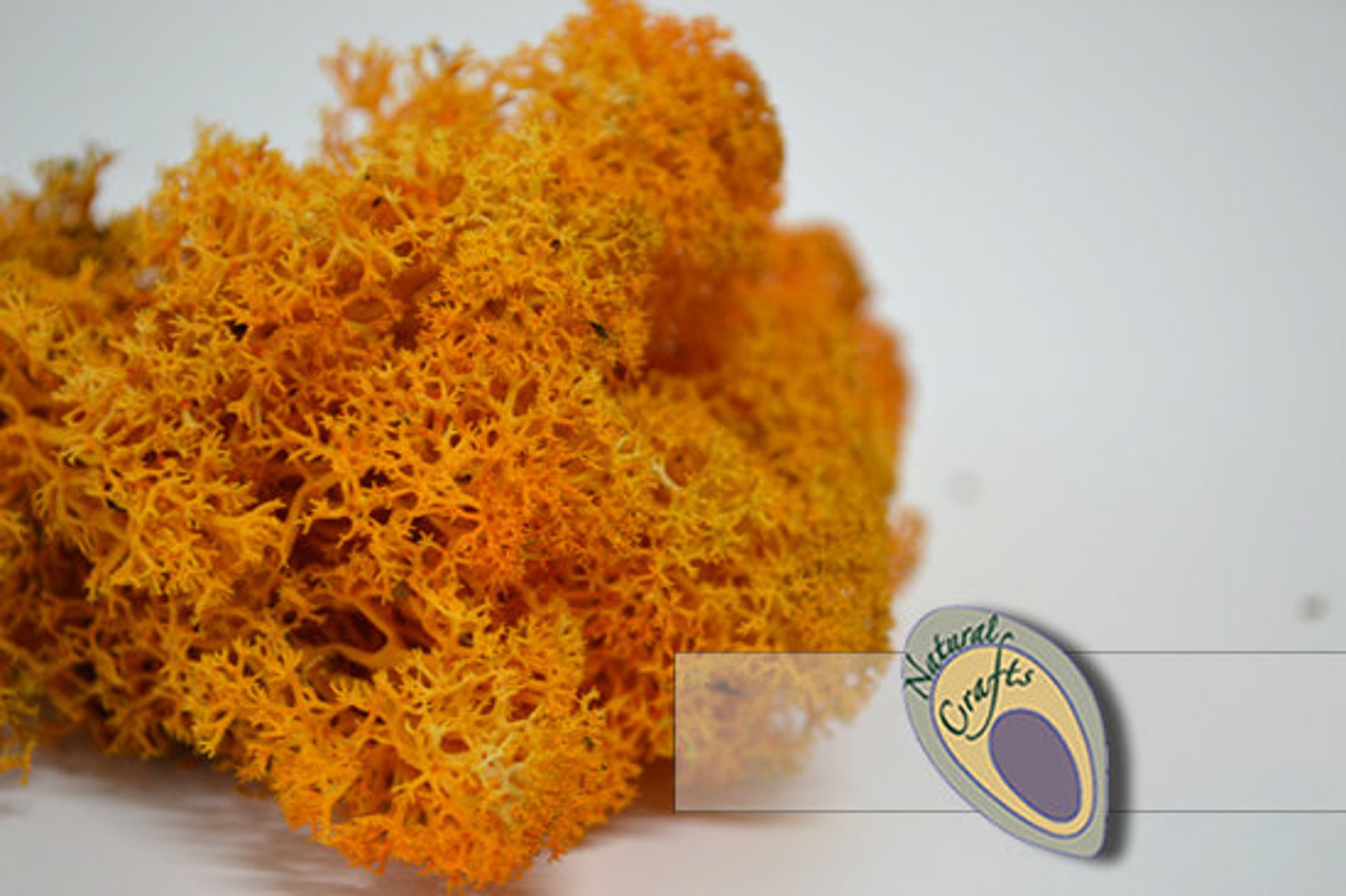 Dried Preserved Reindeer Moss - Etsy UK