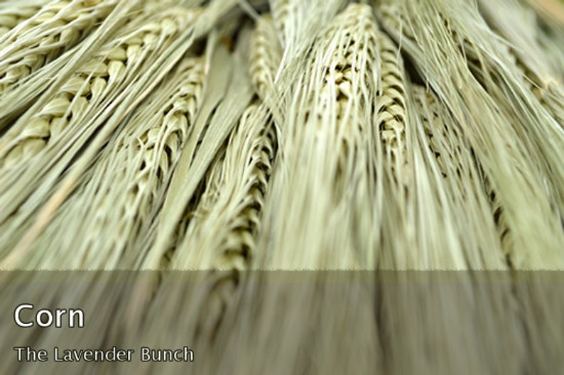 Handtied Corn/barley Bunch - Etsy UK