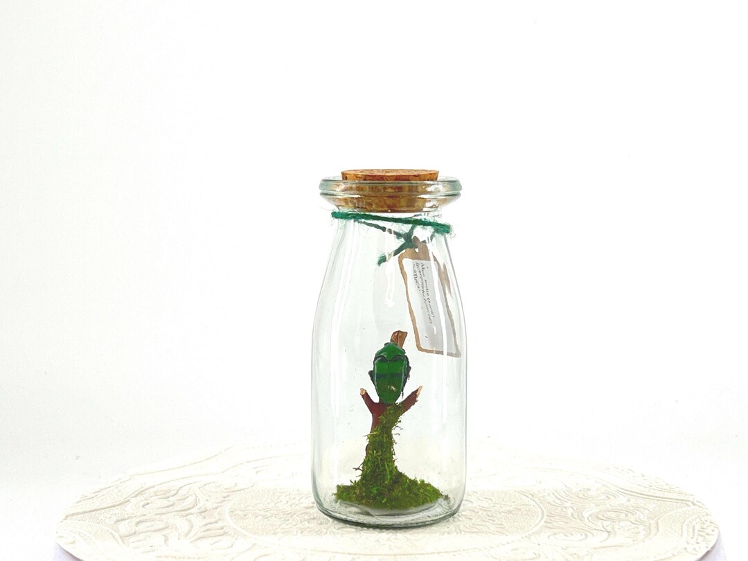 Accent | Centerpiece | Alien Beetle | Emerald Green | Flutter by Katie ...