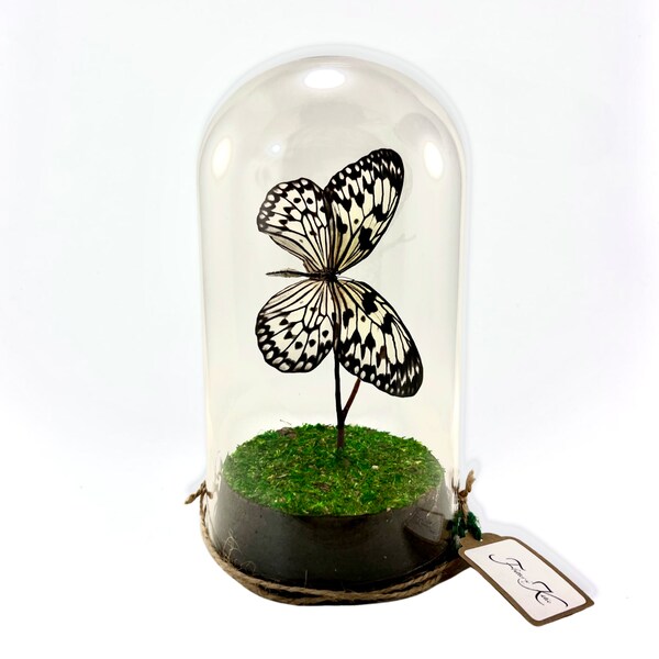 Rice Paper Butterfly - Etsy