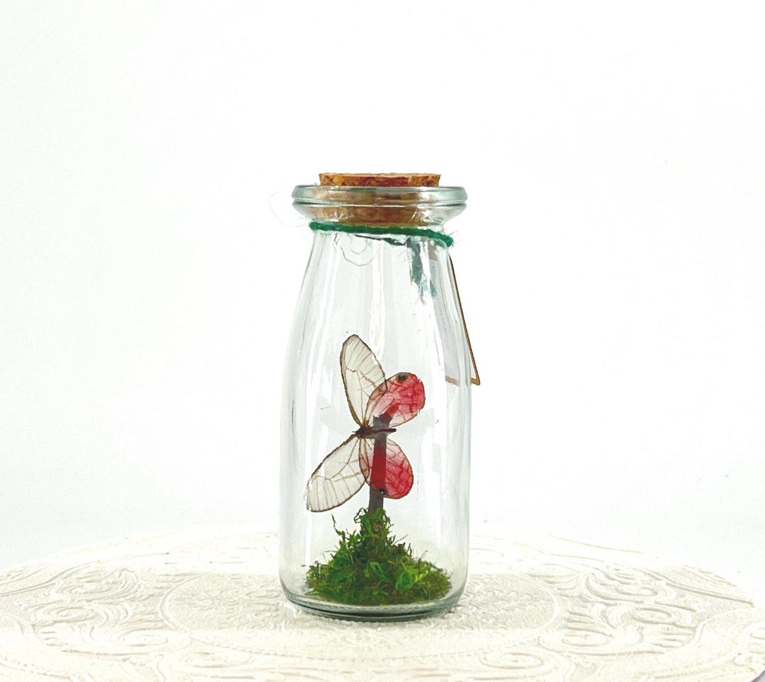 Accent | Centerpiece | Pink Glasswing | Translucent | Flutter by Katie ...