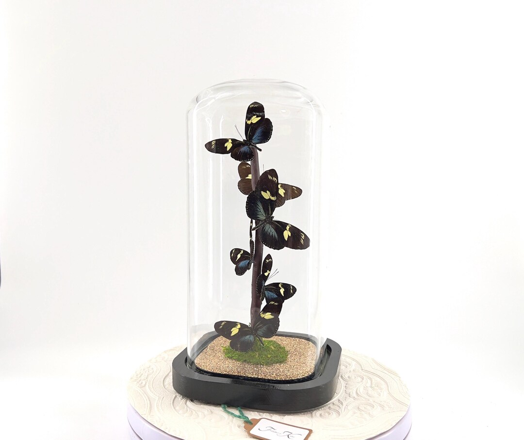 Small Centerpiece Doris Longwing Blue Flutter by Katie Handmade ...