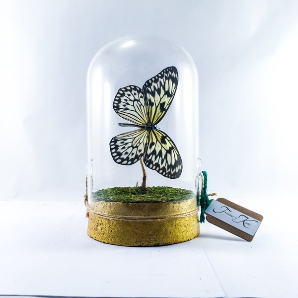 Rice Paper Butterfly - Etsy