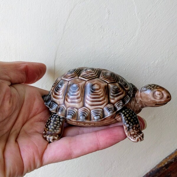 Porcelain Turtle - Etsy