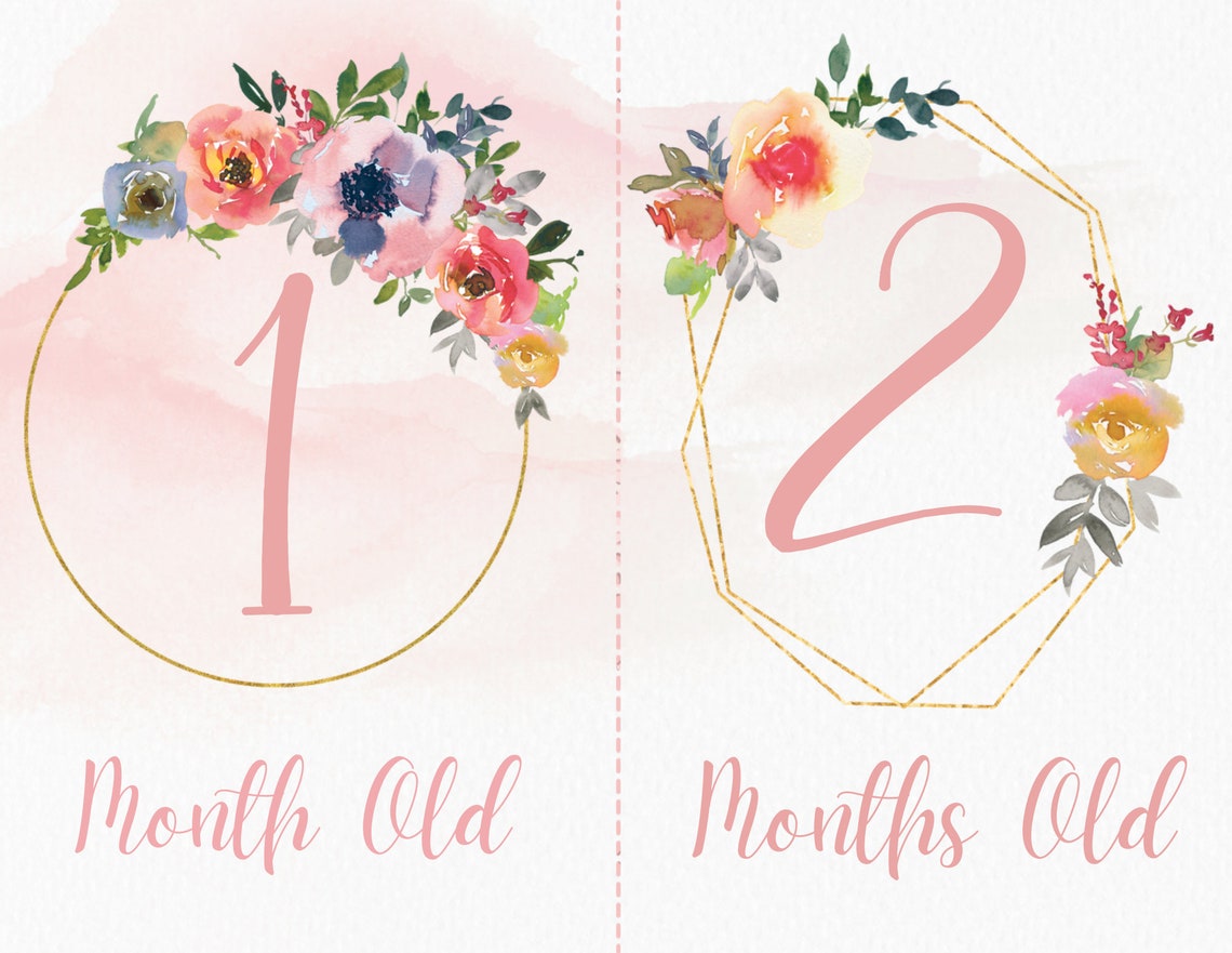 Baby Girl Milestone Cards Printables Baby Milestone Cards - Etsy