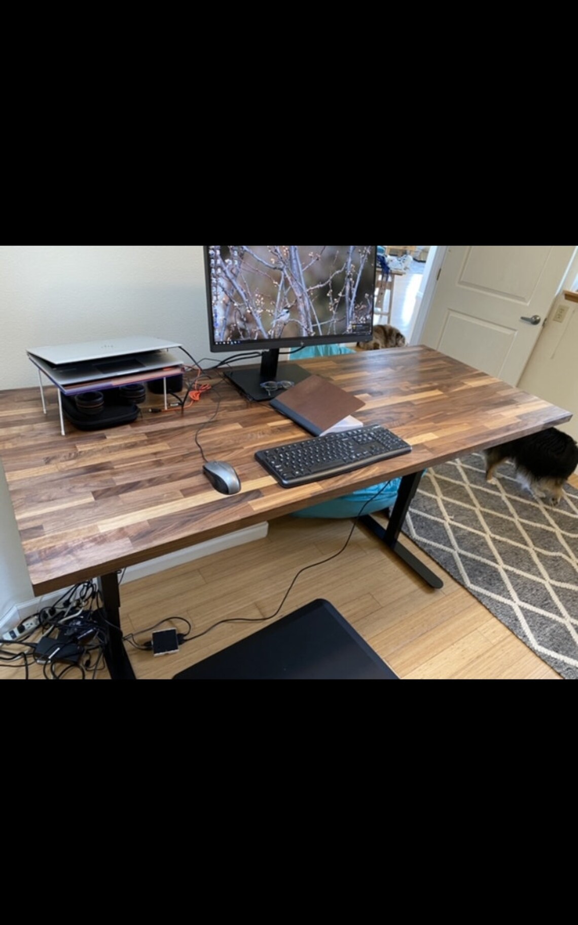 Pretty Walnut Butcher Block Desktop 25-30 X 48 to 72 | Etsy