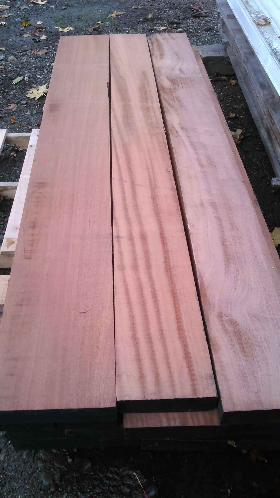Sapele Wood- Boat Qaulity- KD, Indoor Warehouse Stored 12/4 Sapele ...