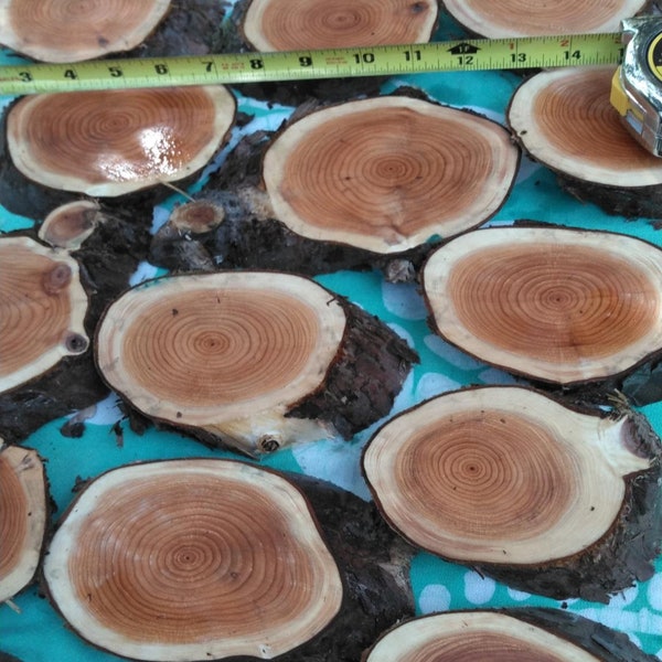 Wood Rounds - Etsy