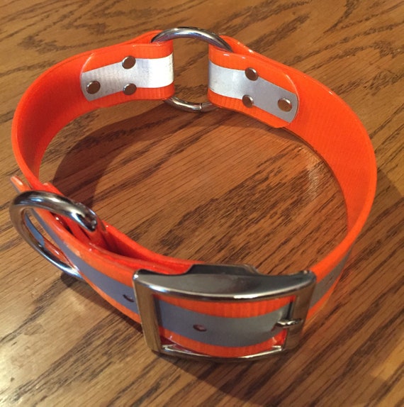 Day Glo Collar Lead