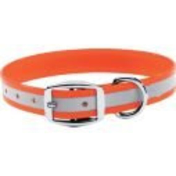 Day Glo Collar Lead