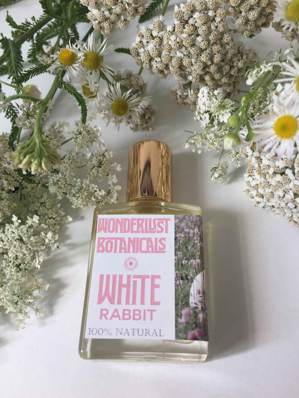 White Rabbit Perfume Natural Perfume Alice in Wonderland - Etsy Canada