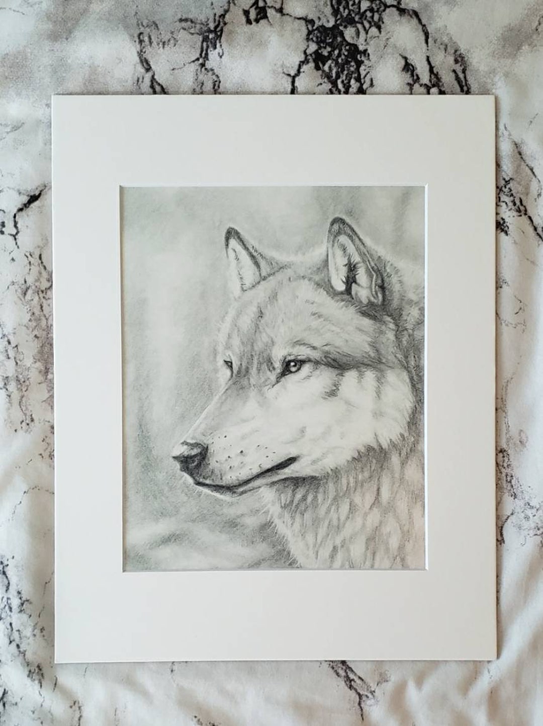 Curious Timber Wolf Art Print | Wolf Art | Realistic Wildlife Drawing ...