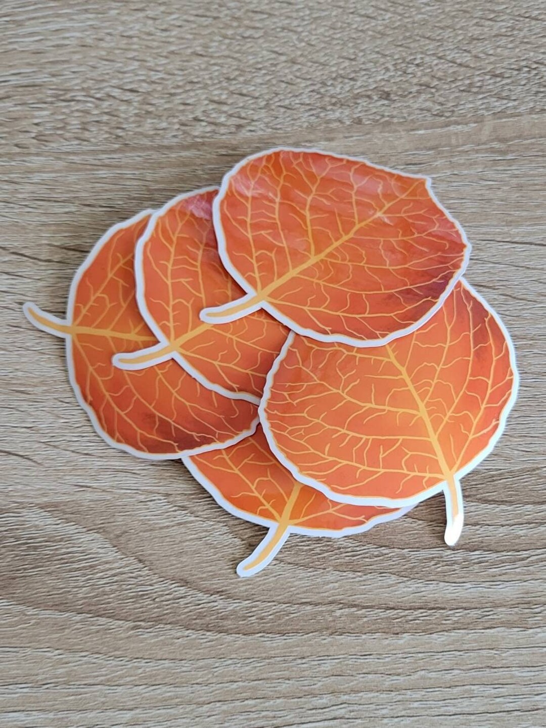 Aspen Leaf Sticker With Clear Background | Colorado Autumn, Birch Tree ...