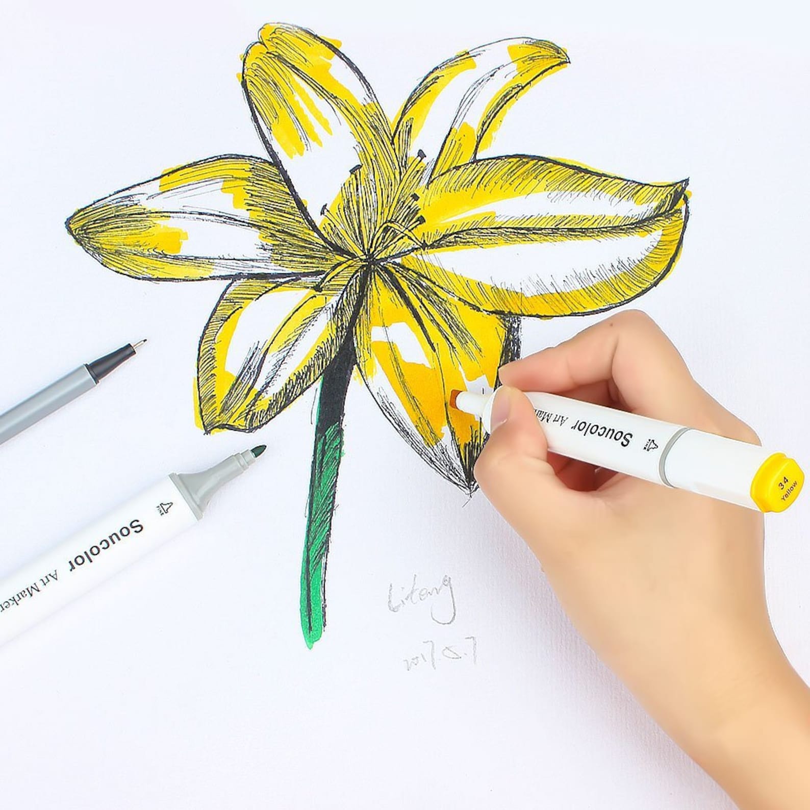 168 Markers Artist Set Set of 168 Marker Pens Twin Dual | Etsy