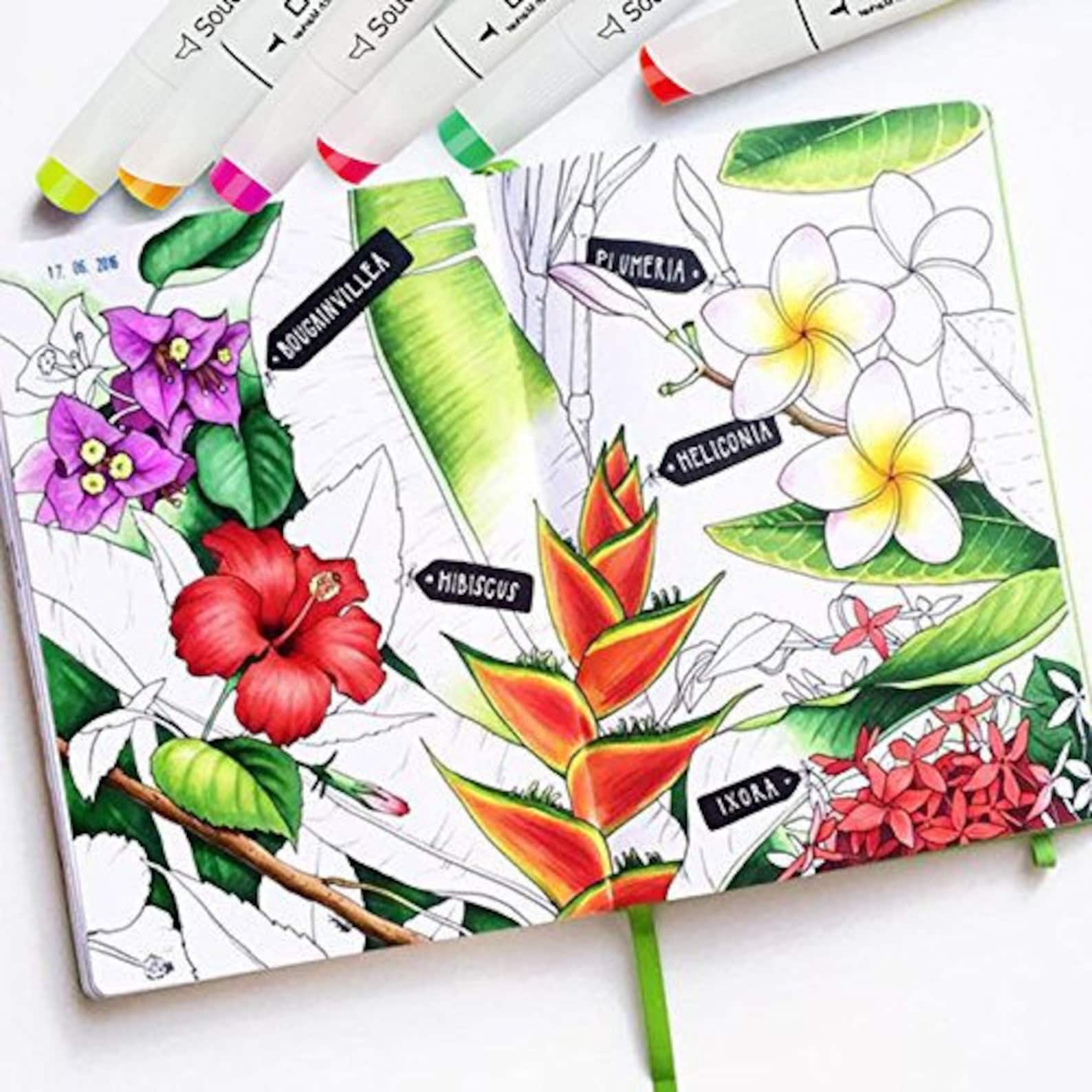 168 Markers Artist Set Set of 168 Marker Pens Twin Dual | Etsy