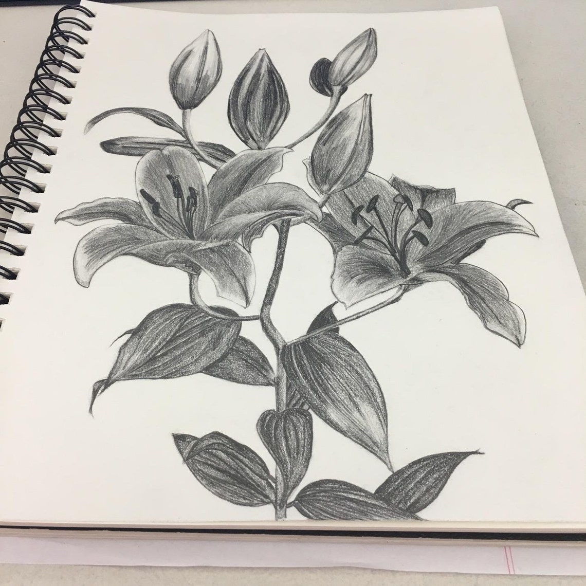 Pro Art 18 Piece Sketch Drawing Drafting Pencil Set Black | Etsy