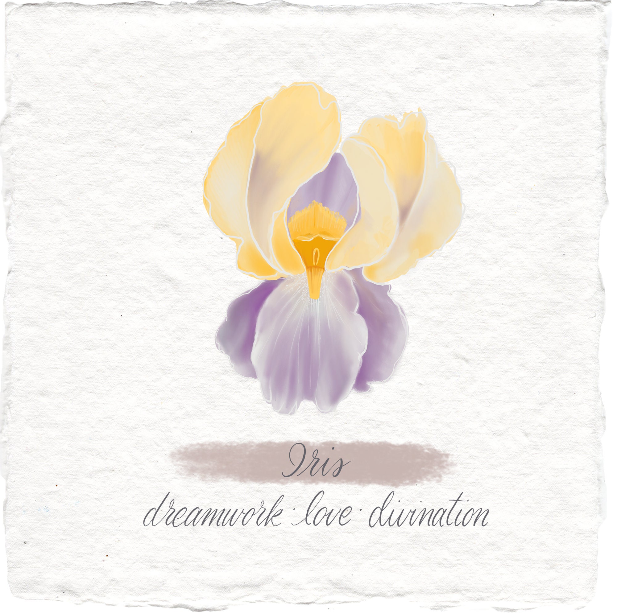 Witchy Art Print Iris Botanical Illustration Handmade for Anyone Witch ...
