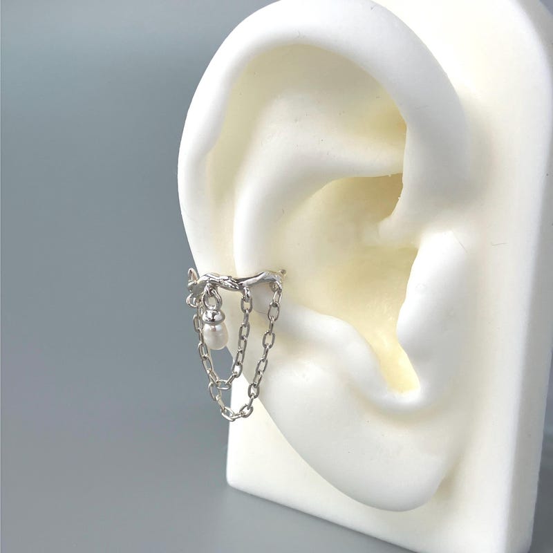 Conch Earrings - Etsy