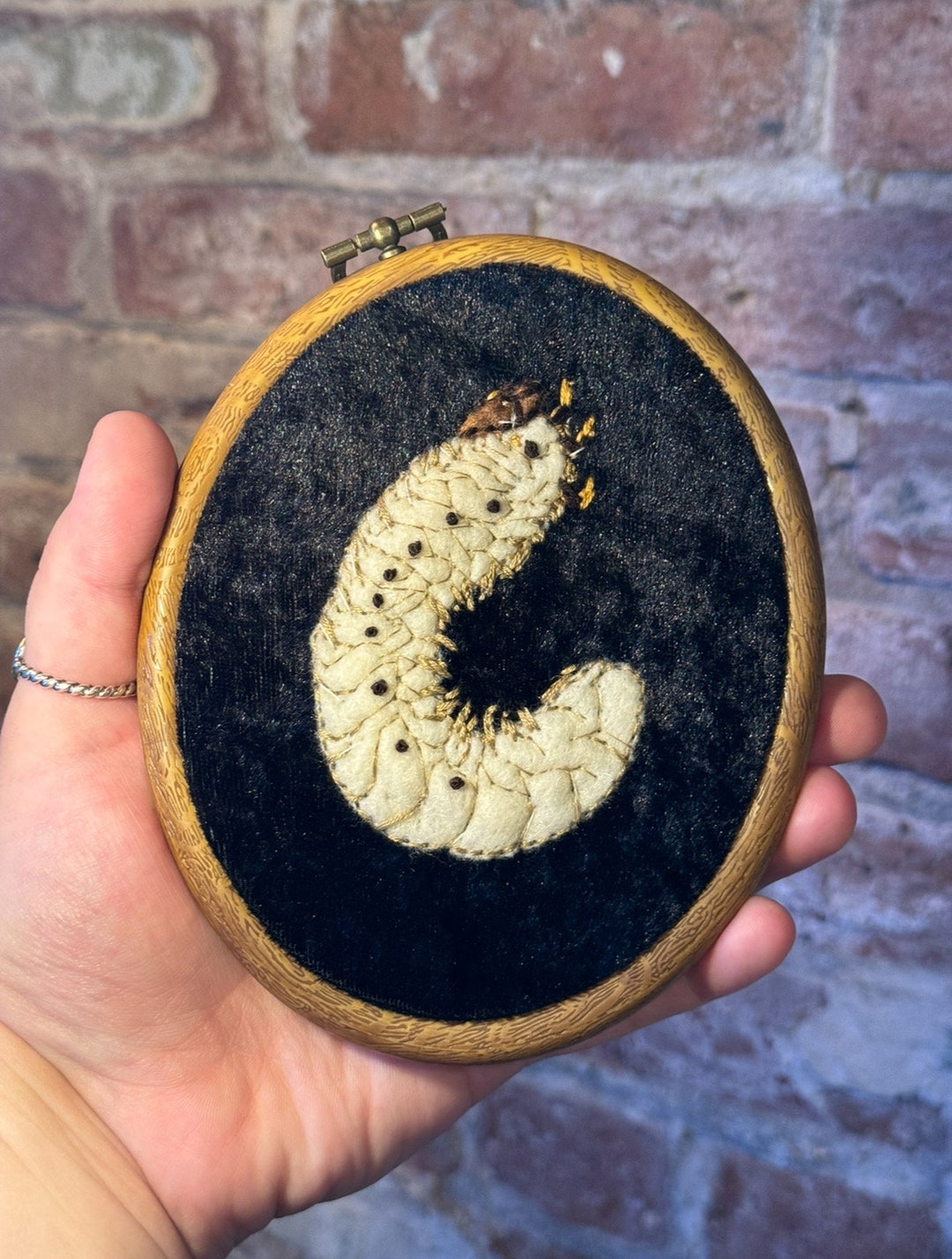 Hercules Beetle Larva Insect Embroidery on Crushed Velvet Insect Framed ...