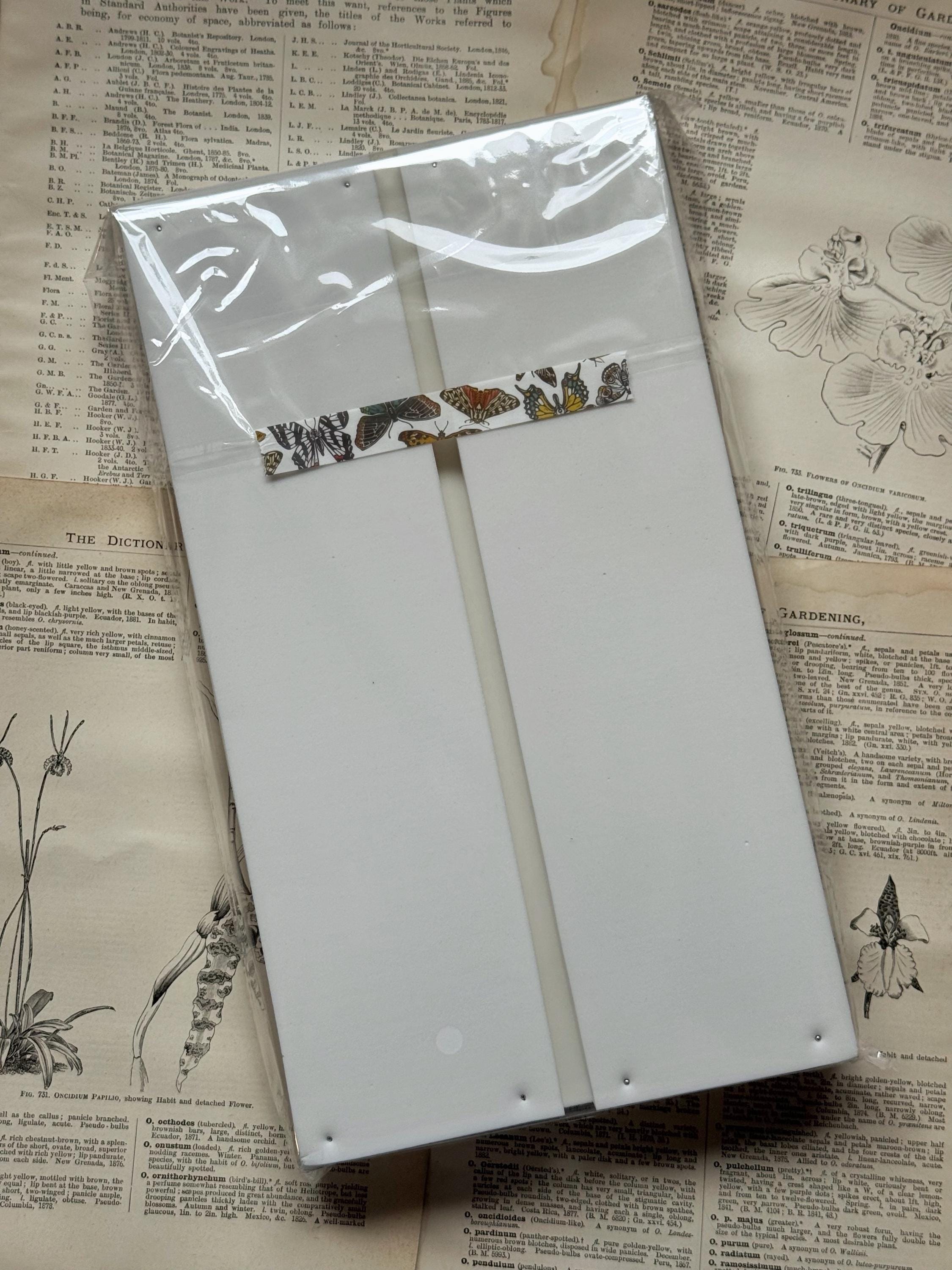 MJB Starter Insect Pinning Kit | Curated Kit for Beginners With ...