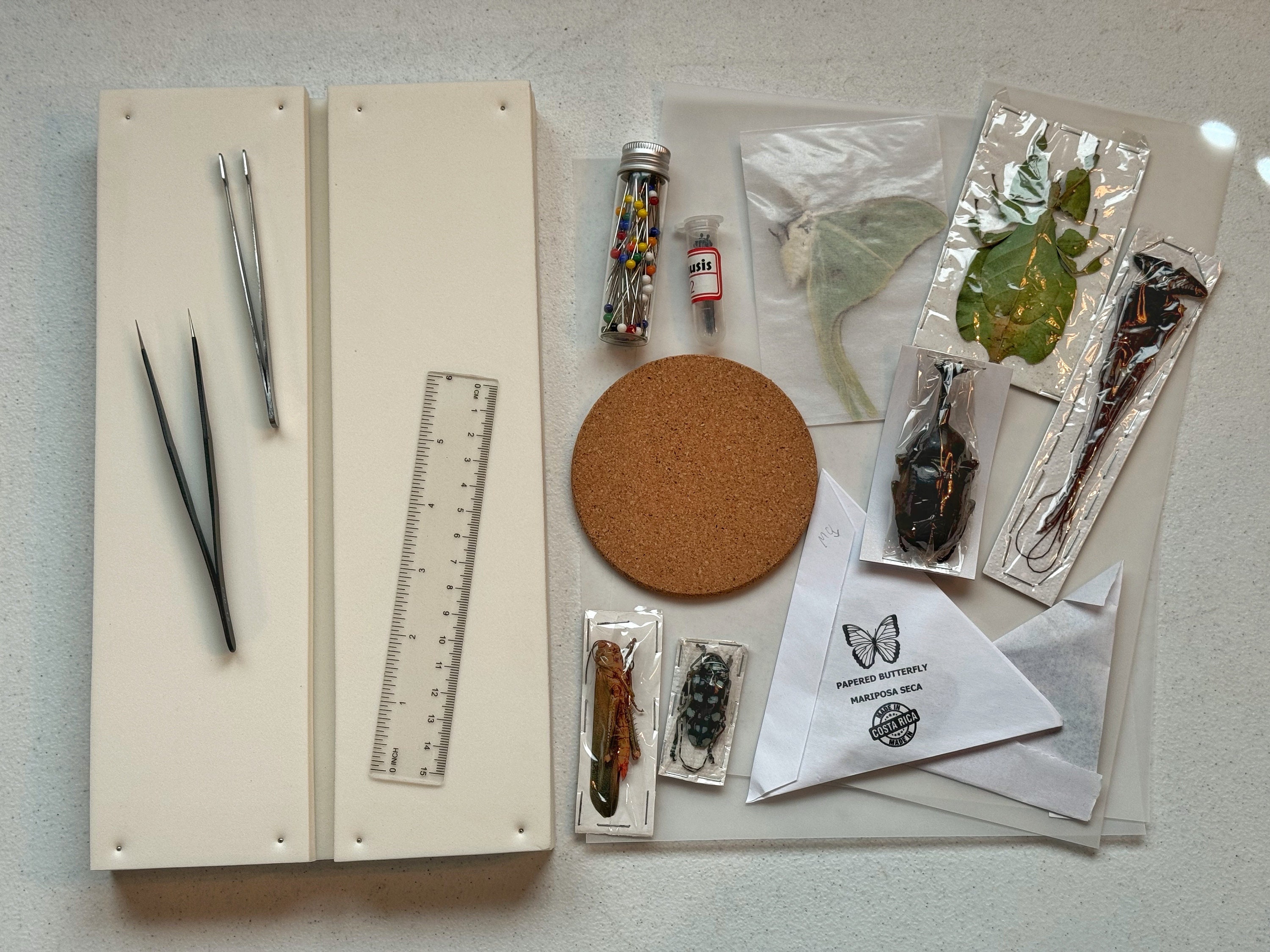 MJB Starter Insect Pinning Kit | Curated Kit for Beginners With ...