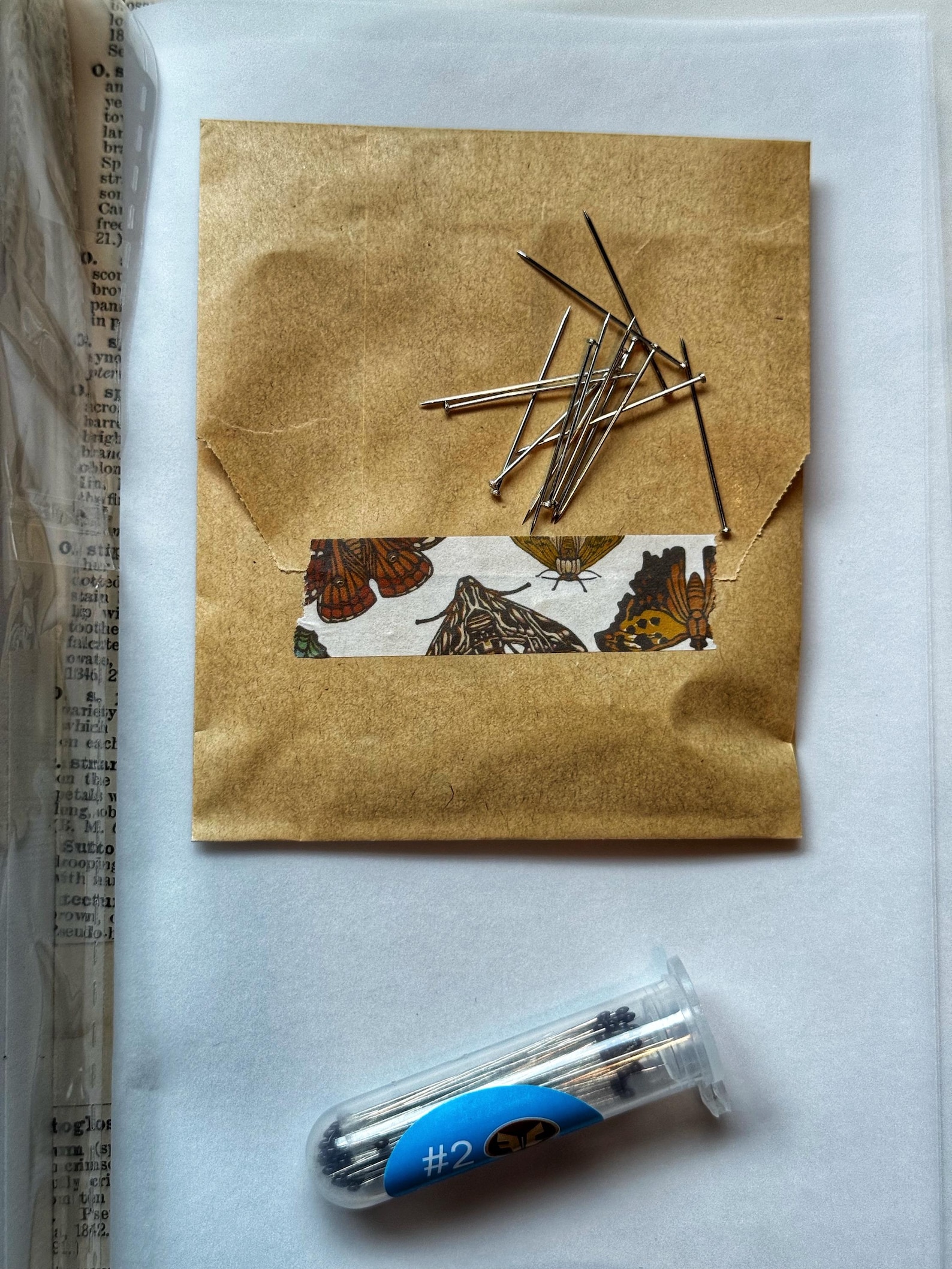 MJB Starter Insect Pinning Kit | Curated Kit for Beginners With ...
