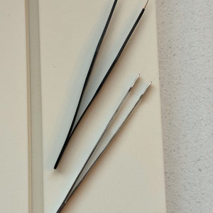 MJB Starter Insect Pinning Kit | Curated Kit for Beginners With ...