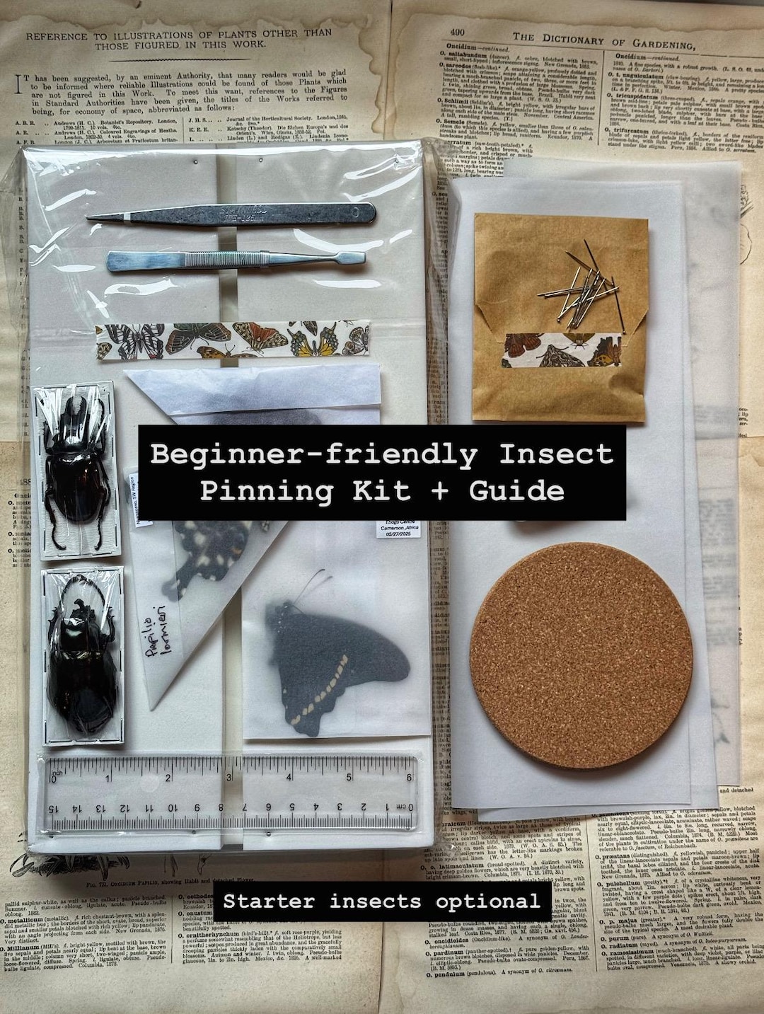 MJB Starter Insect Pinning Kit | Curated Kit for Beginners With ...