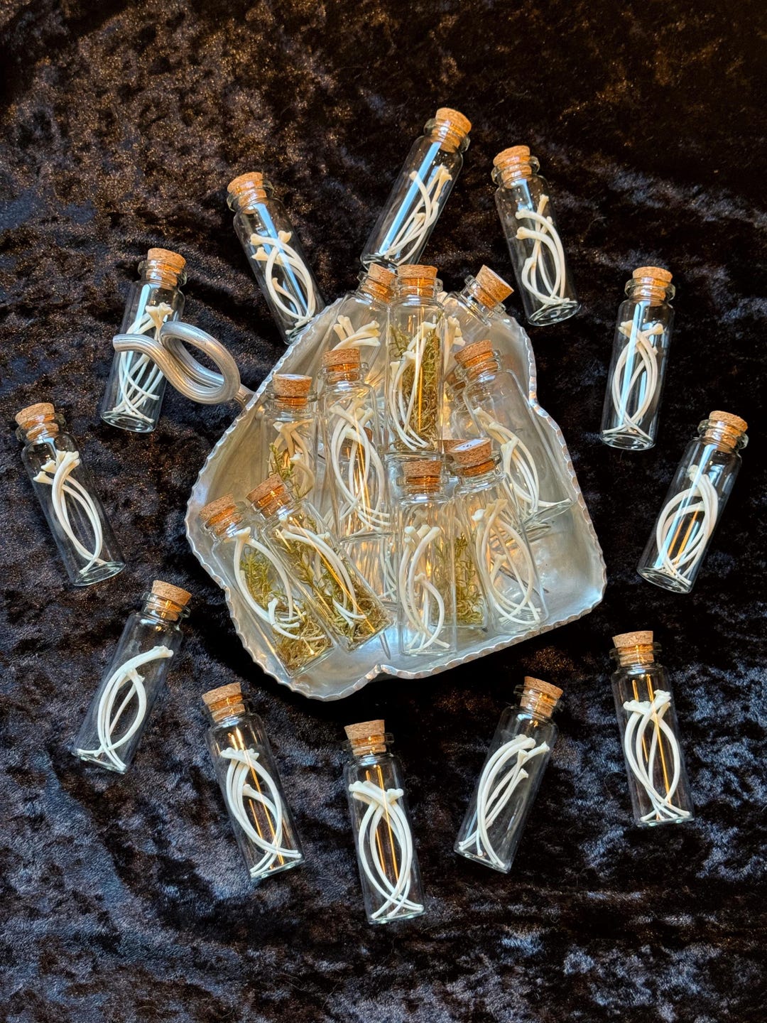 Burmese Python Ribs Bone Jar | Sustainably Sourced Snake Bones | Oddity ...