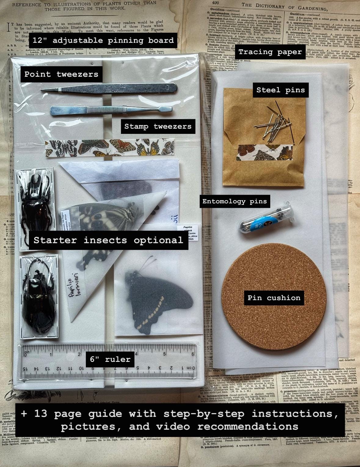 MJB Starter Insect Pinning Kit | Curated Kit for Beginners With ...