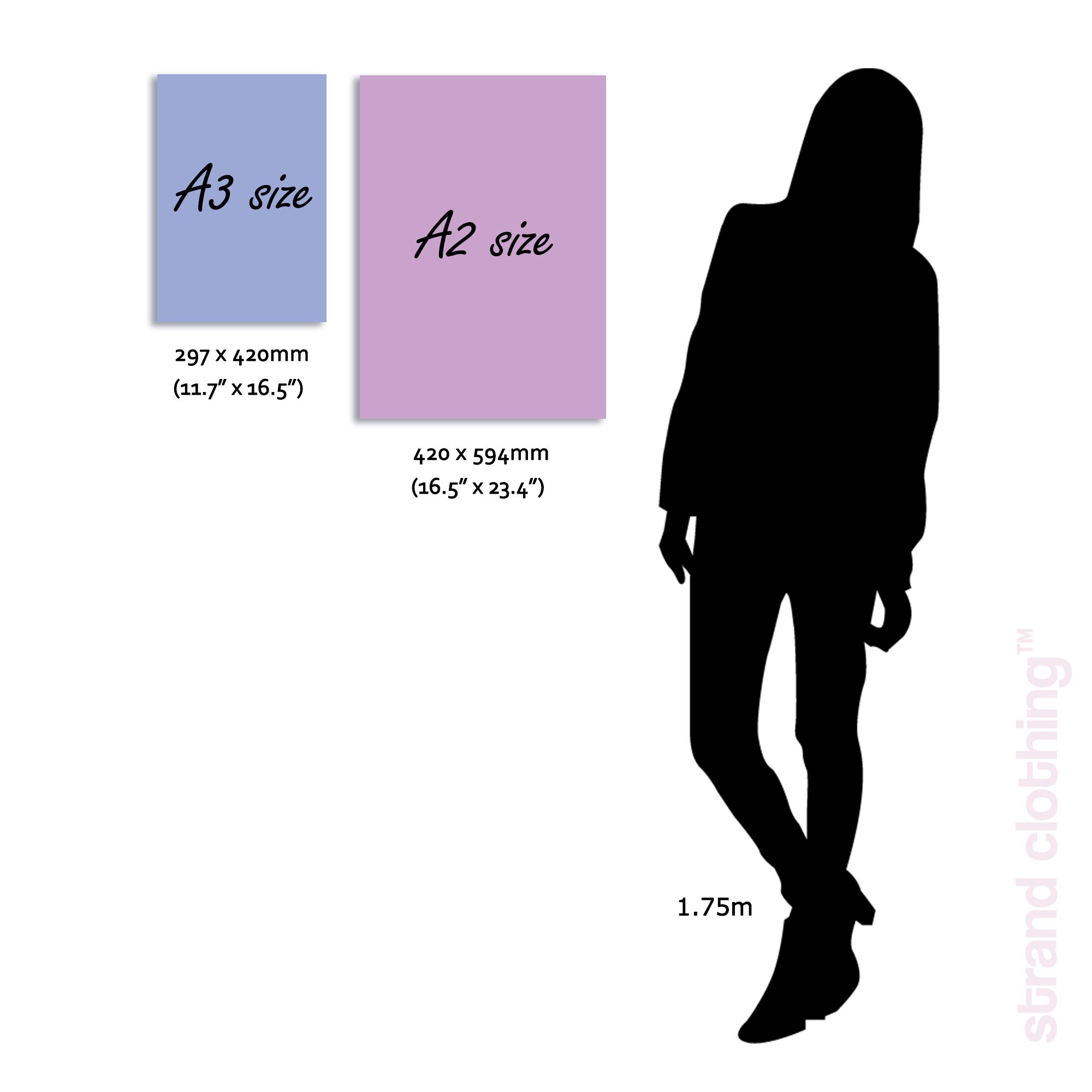 Japanese Ukiyo-e Art Print Poster Woodblock Wall Decor Hokusai Flower ...