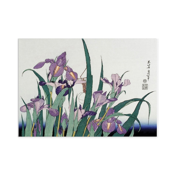 Japanese Iris - Etsy