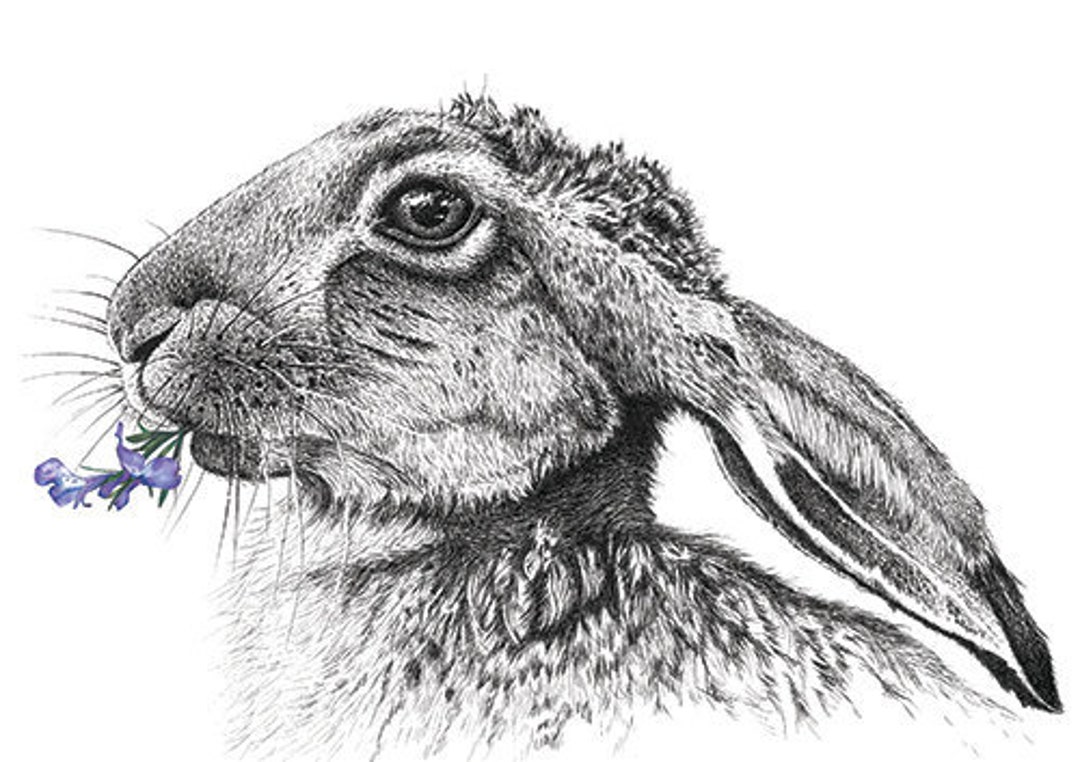 Hand Drawn 'hare & Flowers' Limited Edition Prints - Etsy UK