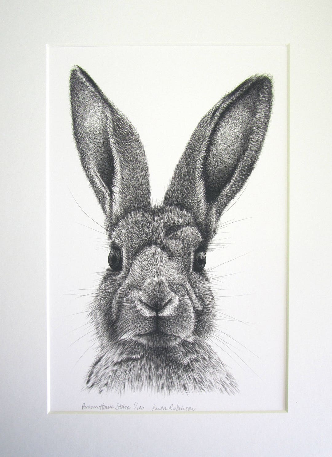 Impresiones de edición limitada 'Brown Hare Stare' dibujadas a mano ...