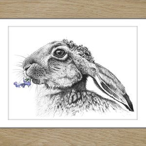 Hand Drawn 'hare & Flowers' Limited Edition Prints - Etsy UK