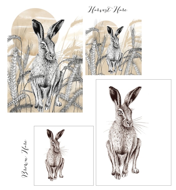 Hand Drawn 'Brown Hare' & 'Harvest Hare' | Etsy