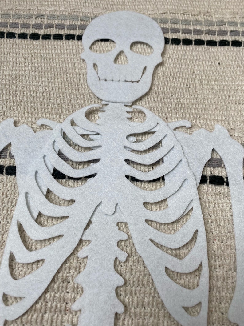 Felt Parts of a Human Skeleton Montessori Inspired Learning - Etsy