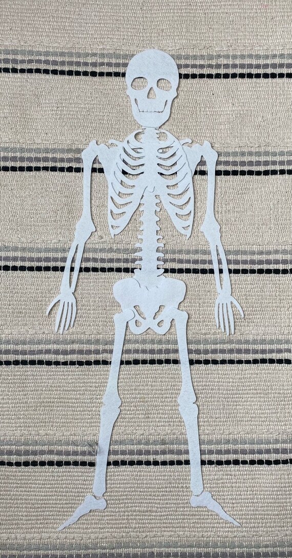 Felt Parts of a Human Skeleton Montessori Inspired Learning - Etsy