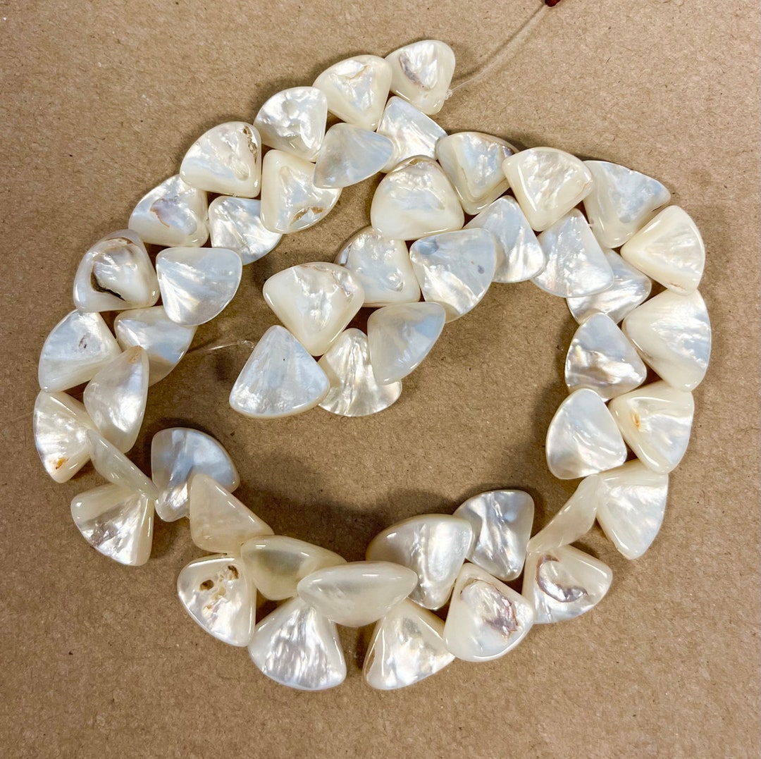 Natural Sea Shell 15x15x4-22x22x6mm Flat Teardrop Shell Beads--15.5 ...