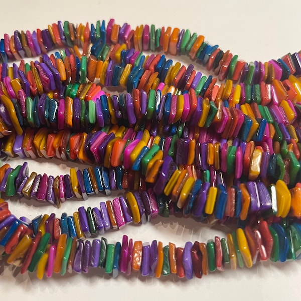 Multi Color Shell - Etsy