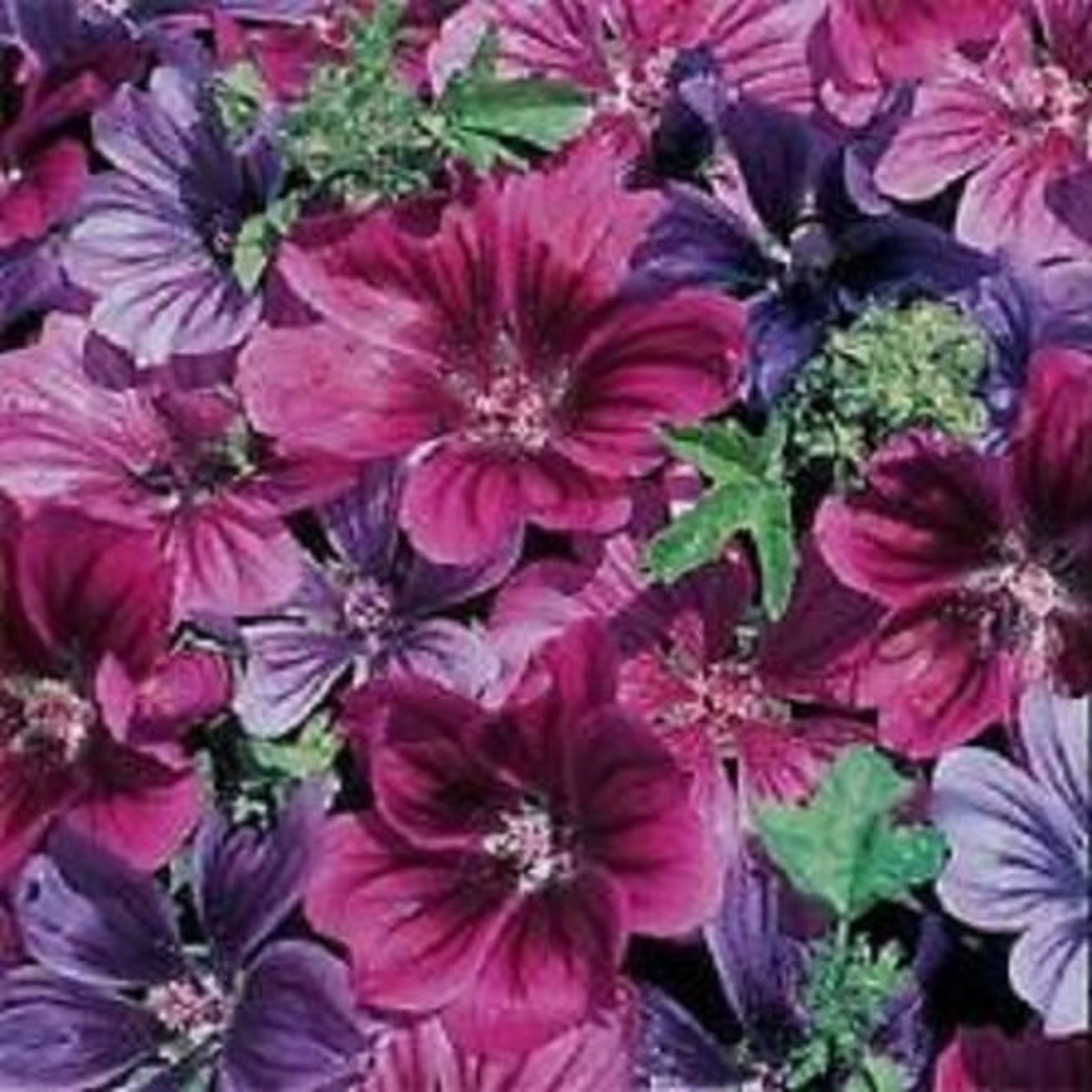 Malva Mystic Merlin Mix Flower Seeds / Sylvestris / Perennial - Etsy