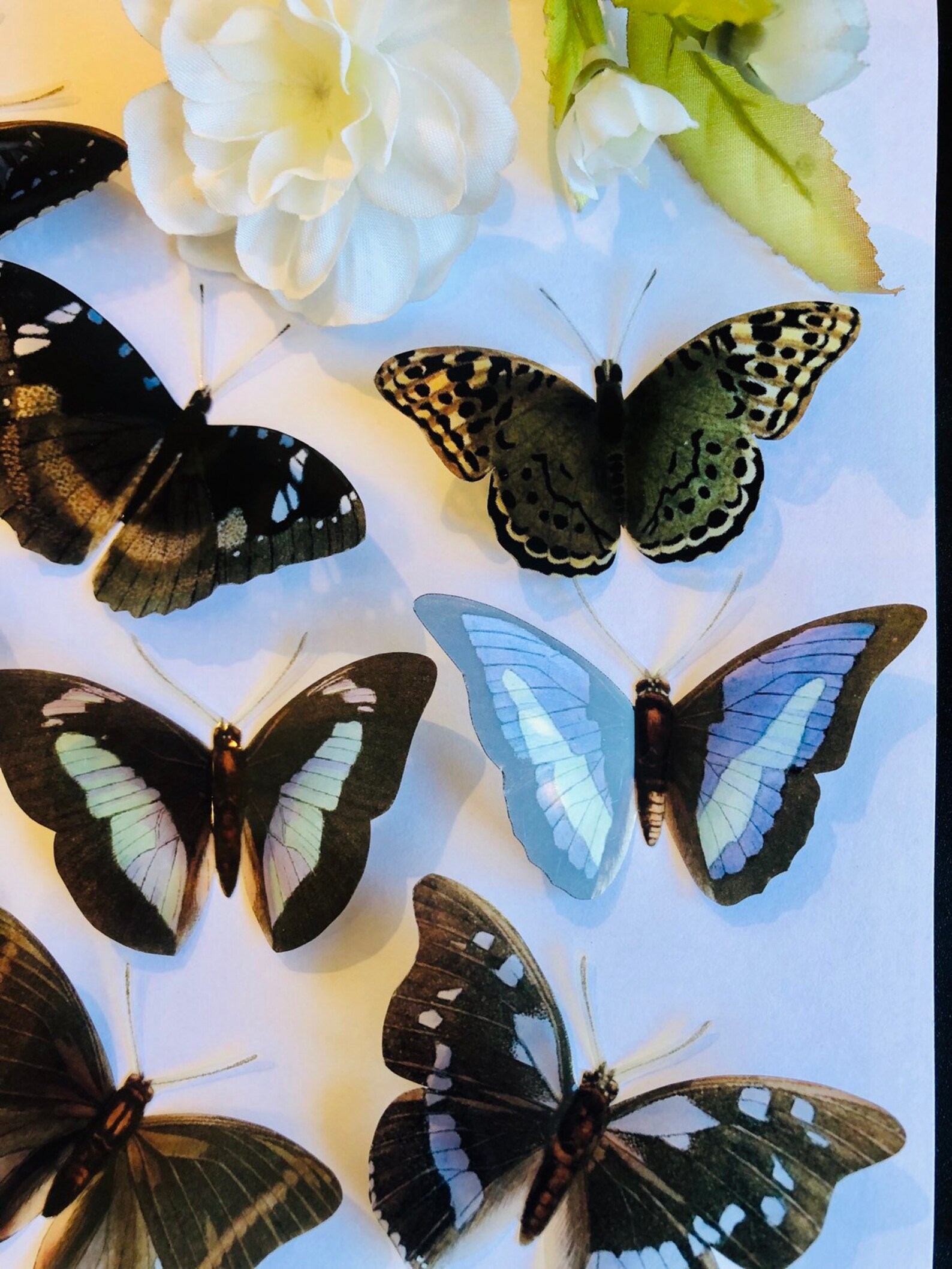 3D Decorative Butterflies x 21 3D Butterfly Art Shabby Chic | Etsy