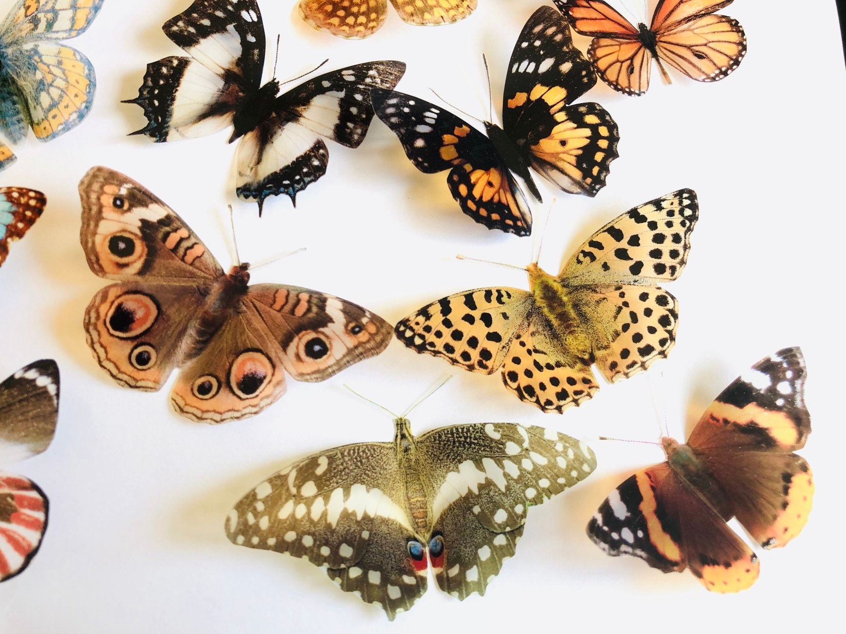 3D Decorative Butterflies x 25 3D Butterfly Art Wedding | Etsy