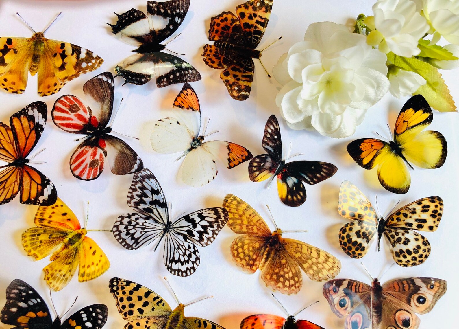 3D Decorative Butterflies x 25 3D Butterfly Art Wedding | Etsy