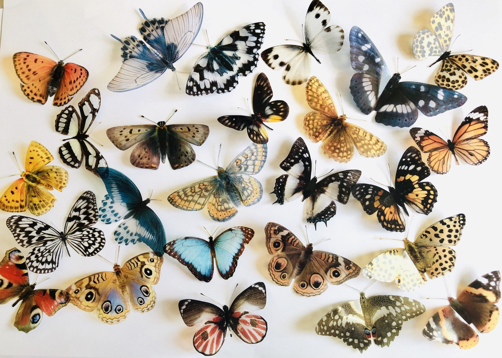 3D Decorative Butterflies x 25 3D Butterfly Art Wedding | Etsy