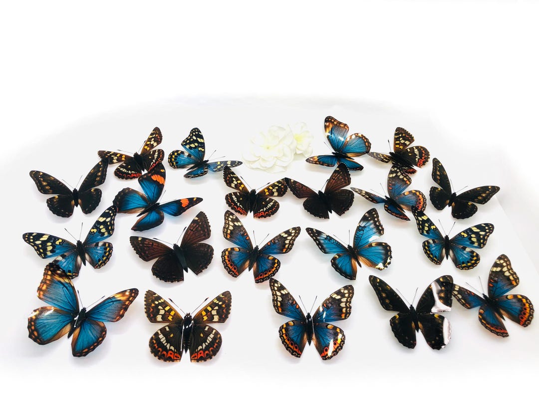 20 X 3D Decorative Blue Butterflies, Decals, Wedding & Table Craft ...